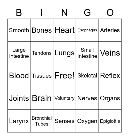 Human Body Bingo Card Human Body Bingo Card