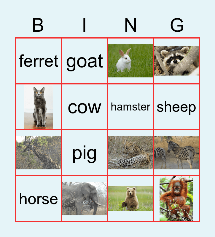 Mammals Bingo Card
