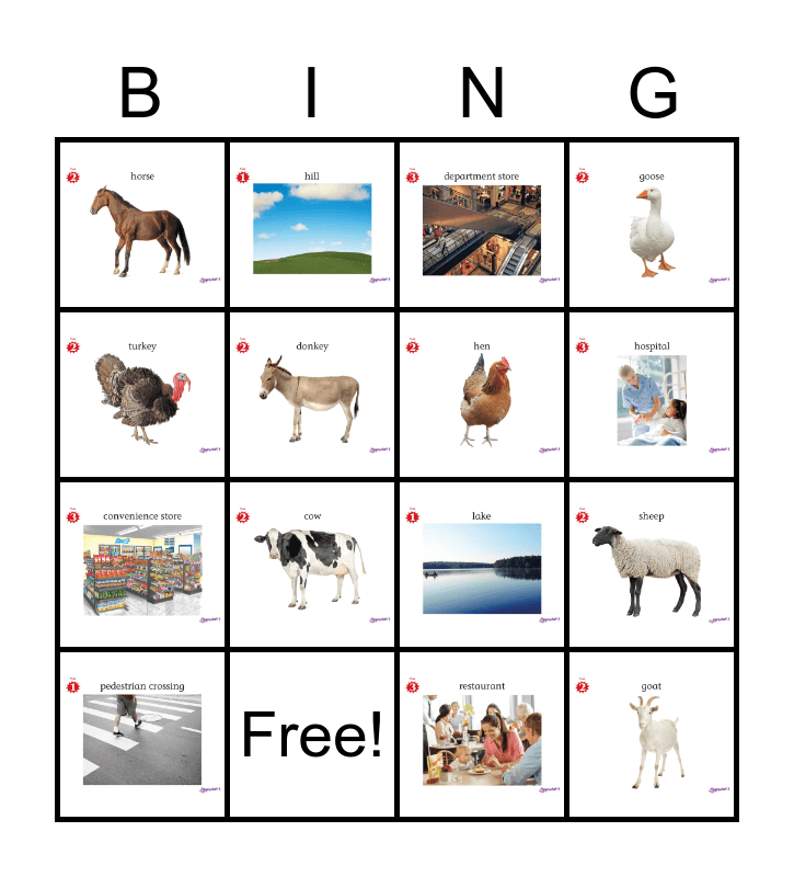 Vocabulary Bingo Card