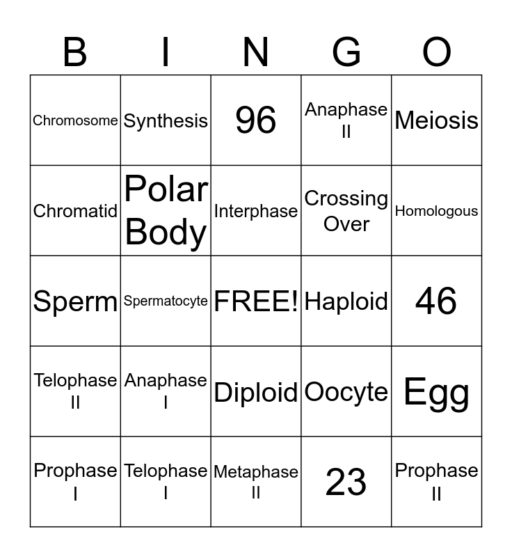 Meiosis Bingo Card