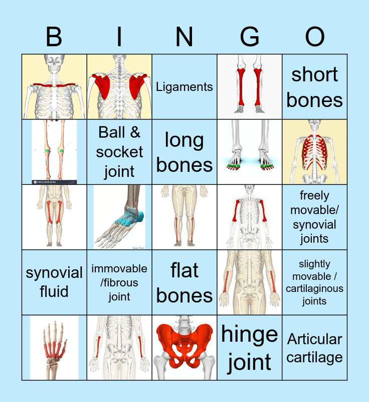Skeletal GCSE Bingo Card