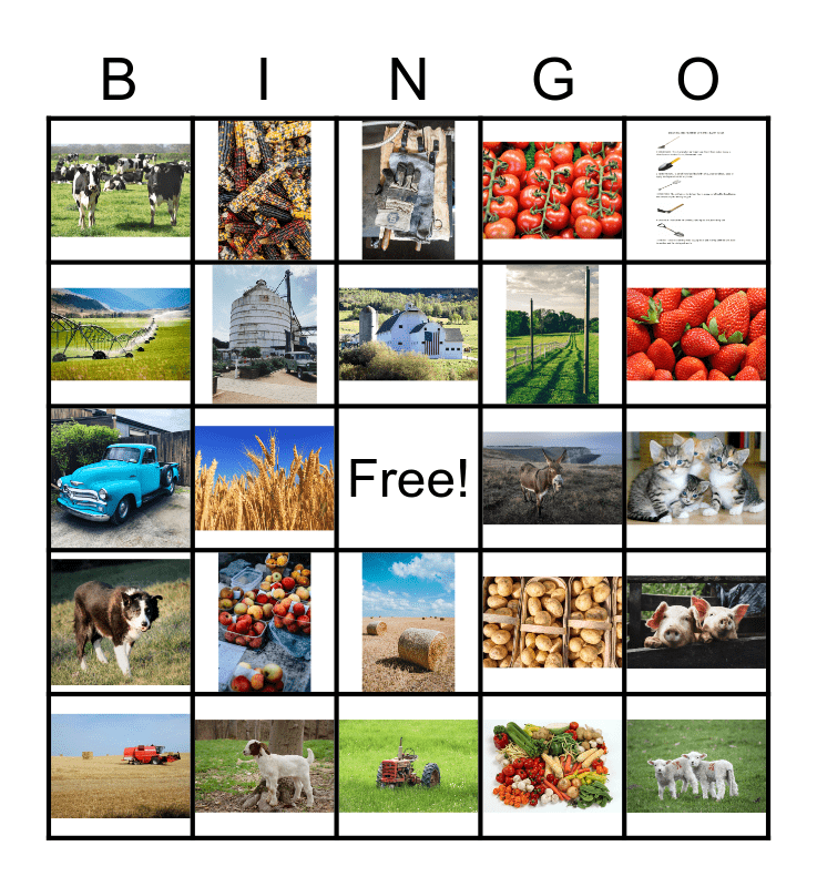 Sponsor Relations Bingo Card