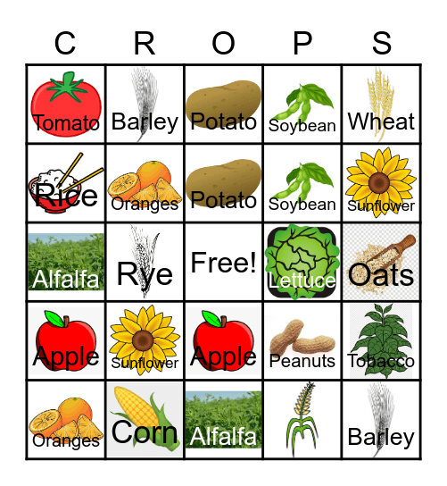 Major Crops Bingo Card