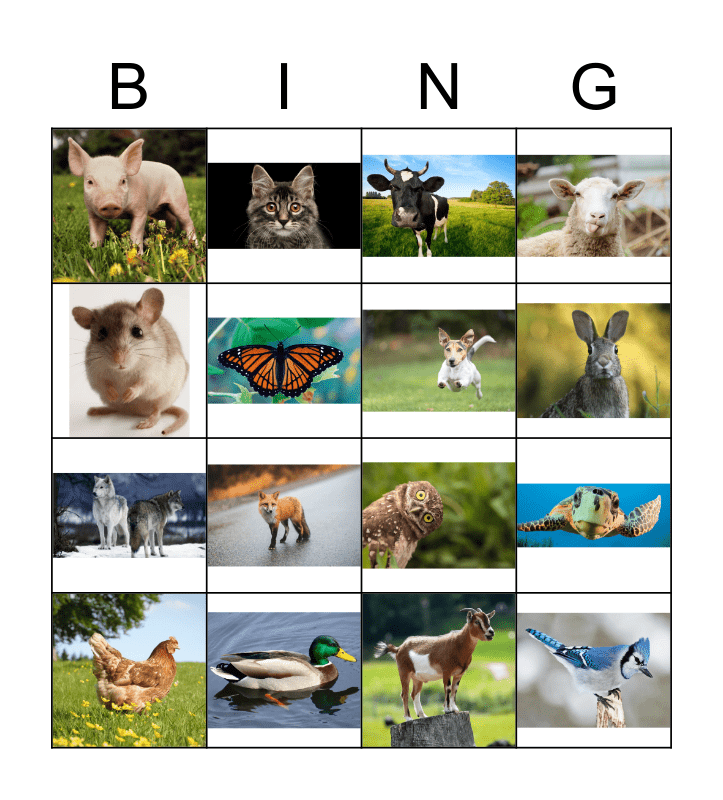 Les animaux Bingo Card