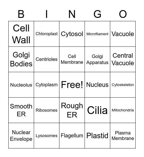 Cell Organelles Bingo Card