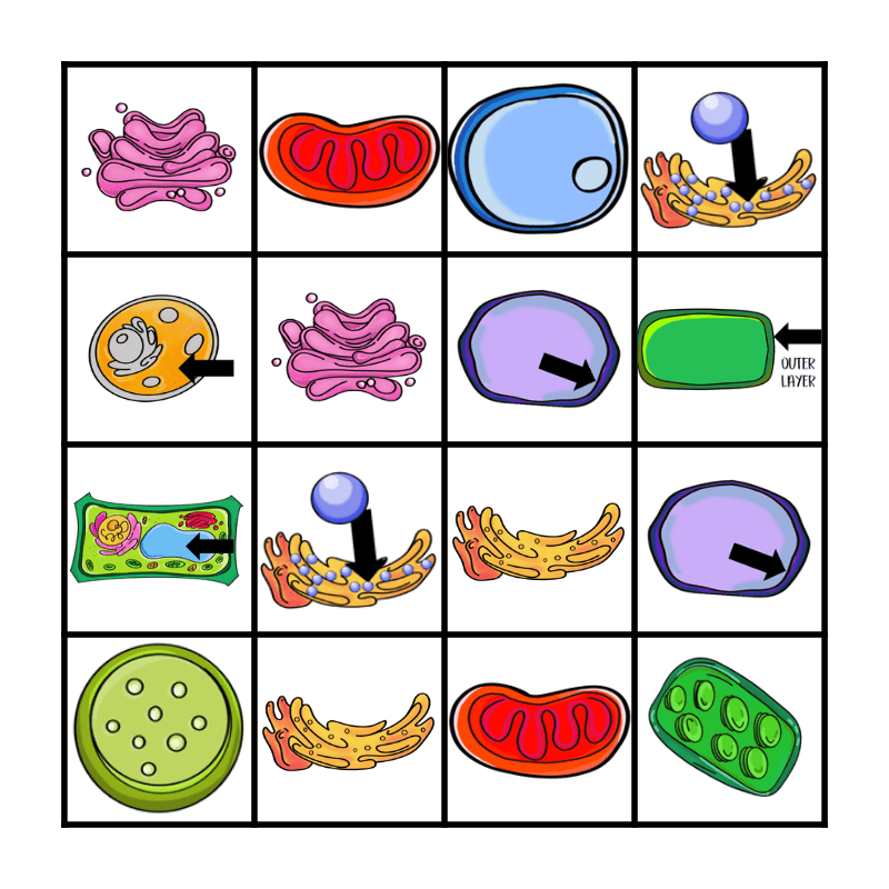 Cell Bingo Card