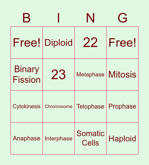Mitosis! Bingo Card