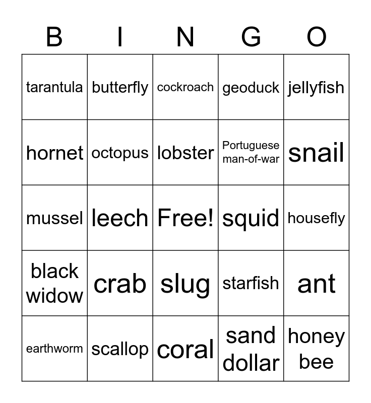 Invertebrate Bingo Card