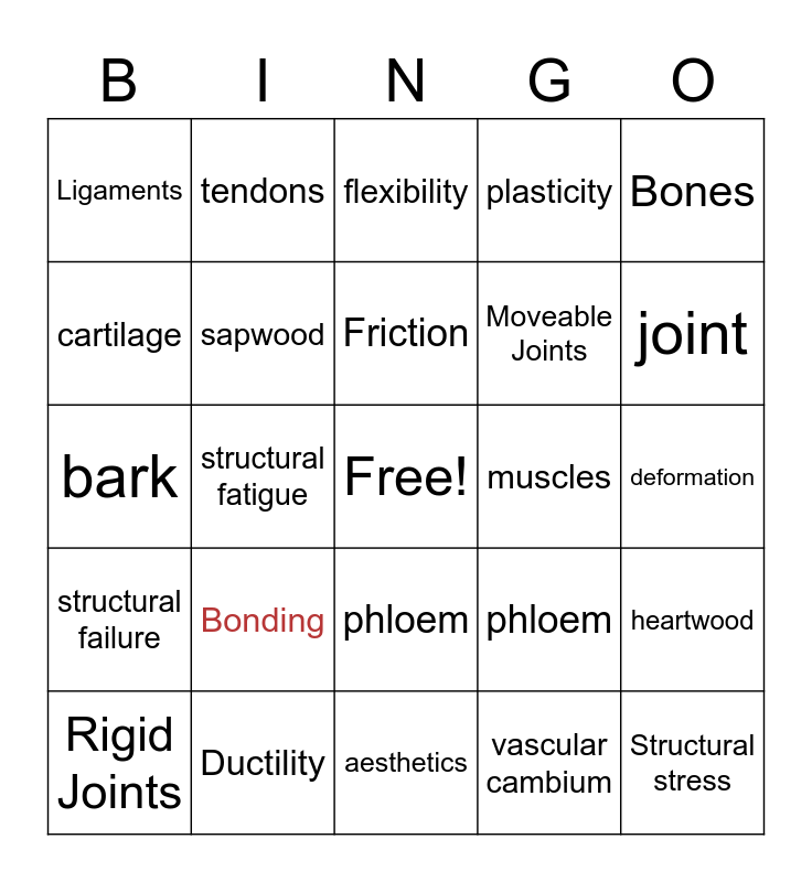 Structures, Forces and Joints Bingo Card