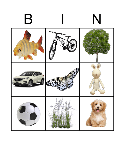 Living and Non-Living Things BINGO Card