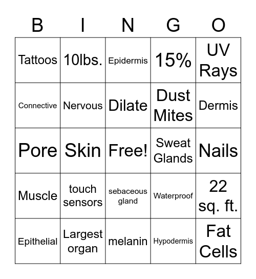 Integumentary System BINGO Card