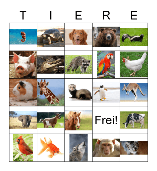 Tiere 2 Bingo Card