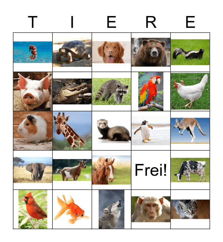 Tiere 2 Bingo Card