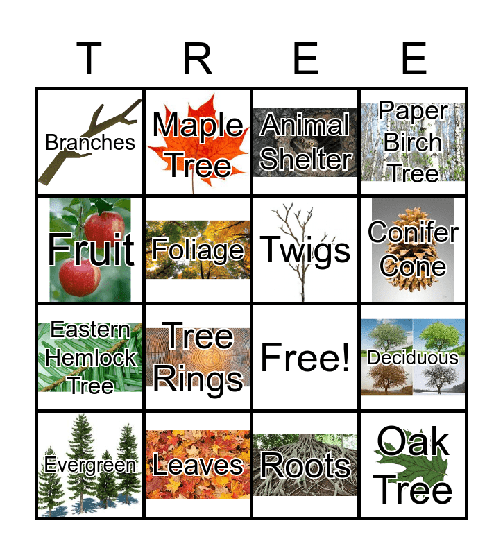 Tree Bingo Card