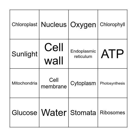 Biology LEAP Mid Prep Review Bingo Card