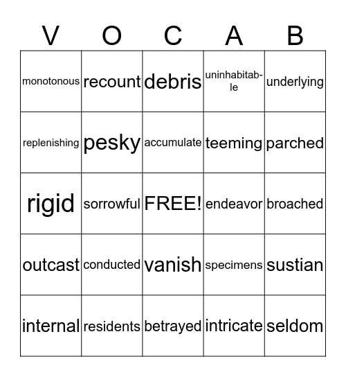 Theme 3 Vocab Bingo Card
