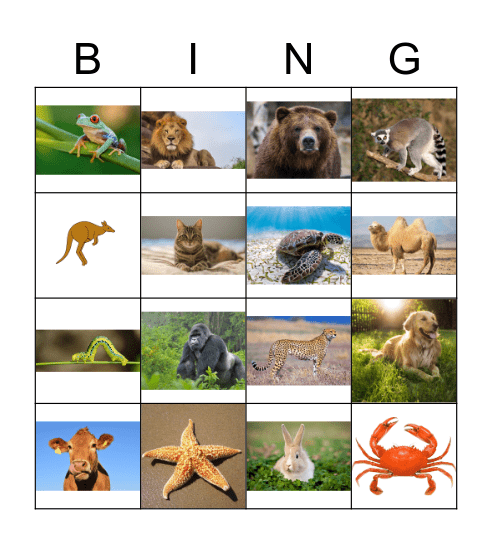 Animal Bingo KS2 Bingo Card