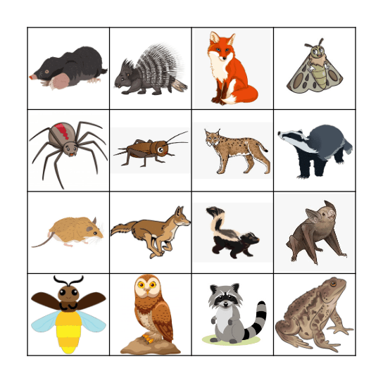 Night Animal Bingo Card
