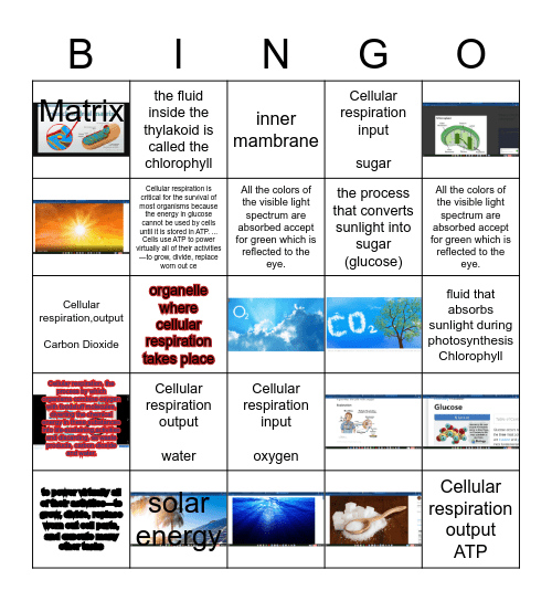 Oscar Cueto/ Cellular respiration Bingo Card
