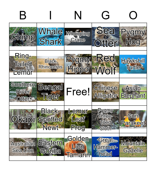 Endangered Species Bingo Card