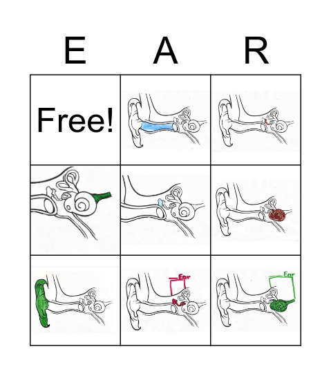 Ear Bingo Card