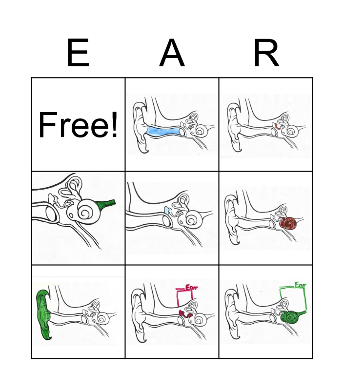 Ear Bingo Card