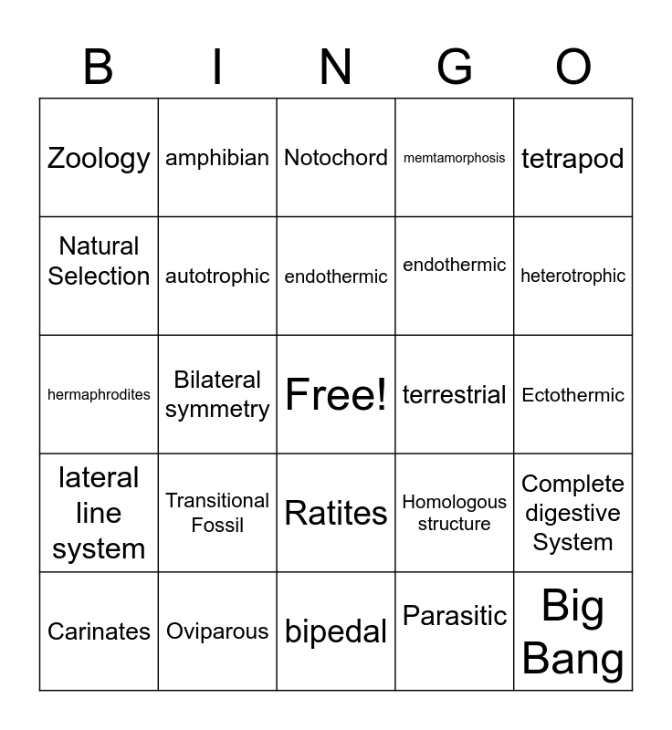 Zoology Bingo Card
