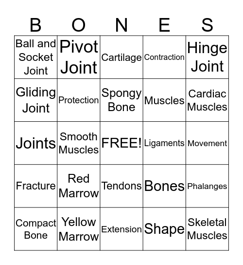 Human Body Review Bingo Card