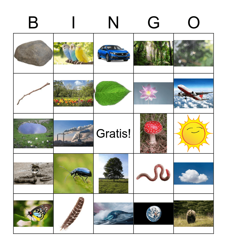 El día de la tierra Bingo Card