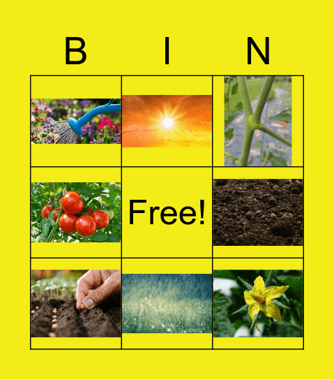 Parts of a Plant Bingo Card