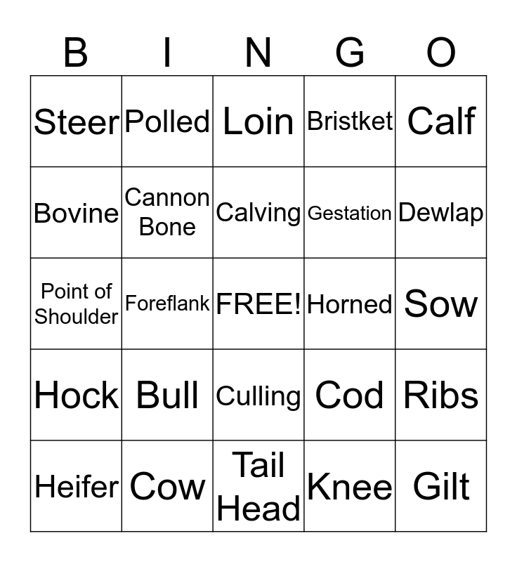 Beef Cattle Bingo Card