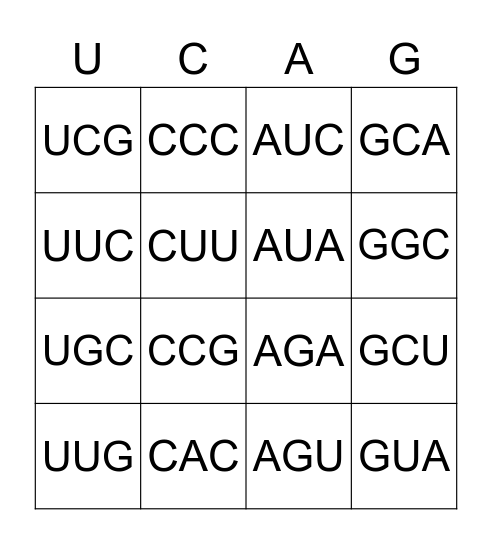 Amino Acid Codon Bingo Card