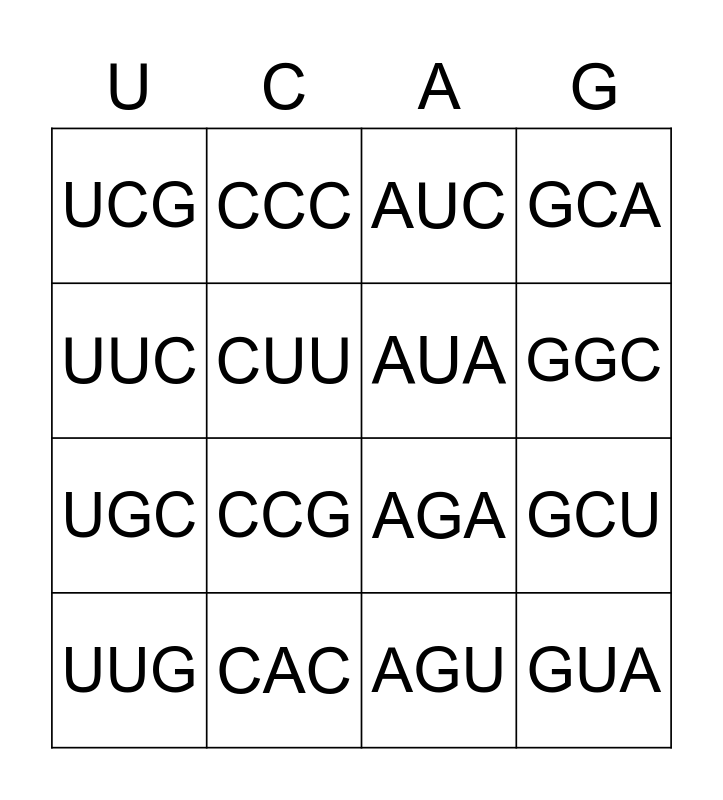 Amino Acid Codon Bingo Card