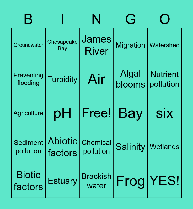 Watersheds Bingo Card