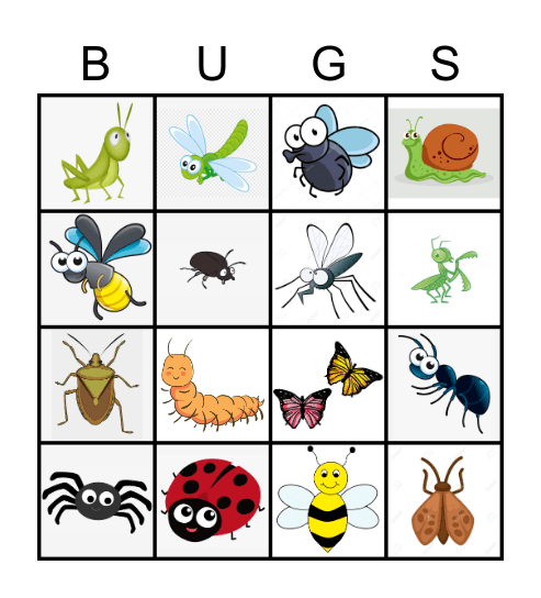 BUGS! Bingo Card