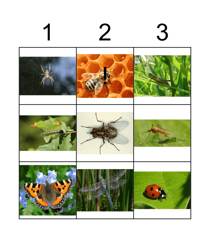 PUTUKAD Bingo Card