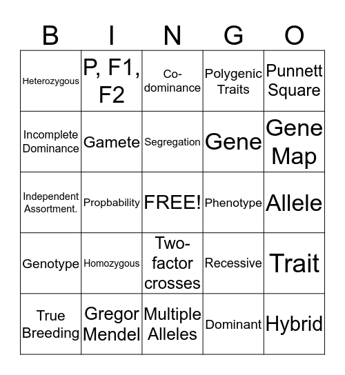 Chapter 11 Volcab Bingo Card