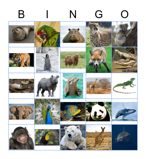 Wild Animals! Bingo Card