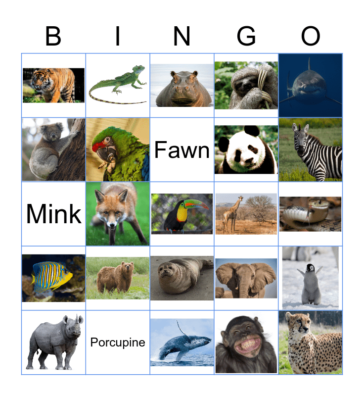 Wildlife Jingo Bingo Card