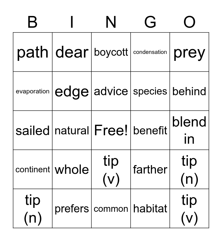 EOY Vocabulary (All About Owls and Owl at Home) Bingo Card