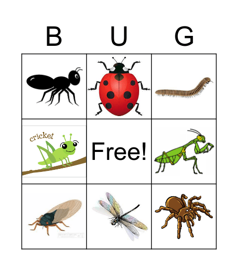 Bugs & Insects Bingo Card