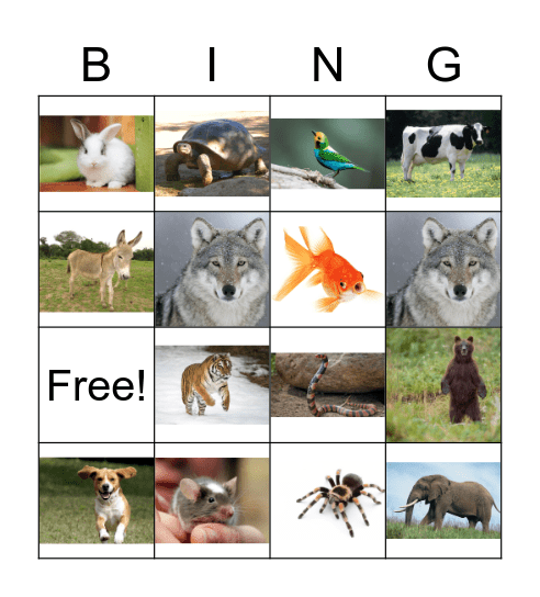 Mascotas y Animales Bingo Card