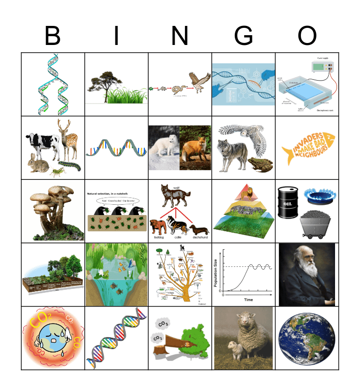 Living Environment Spring Term Review Bingo Card