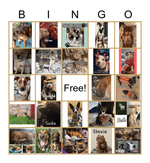 MY PET BINGO Card