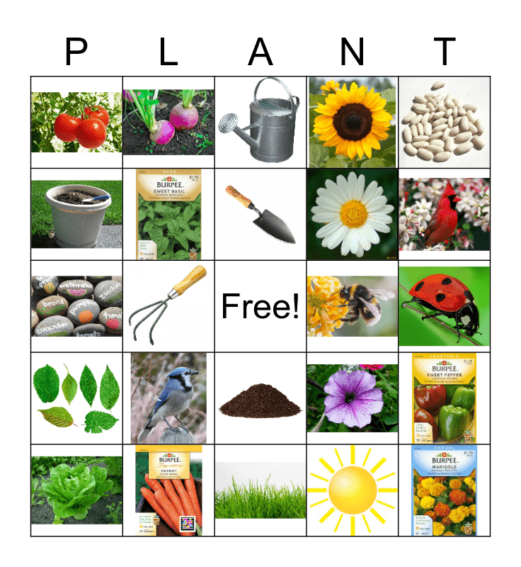 Garden Bingo Card
