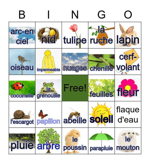 Le printemps Bingo Card