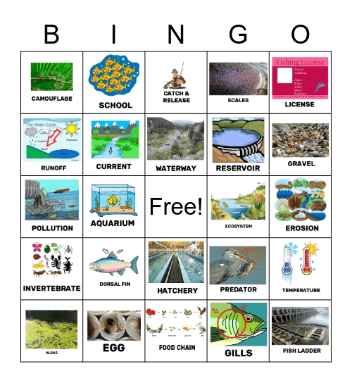 Fish Bingo! Bingo Card