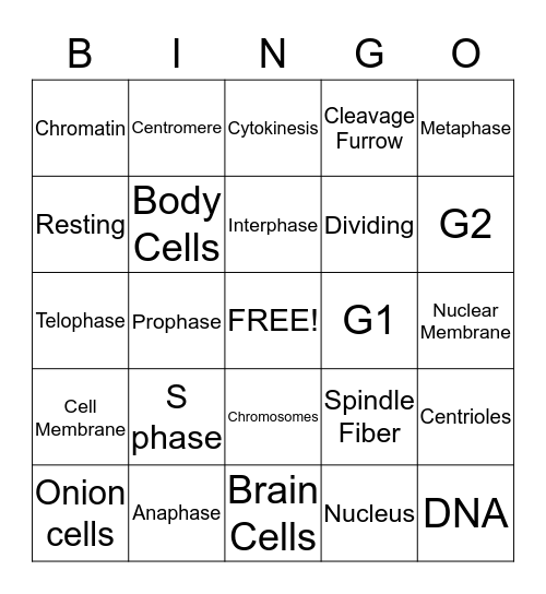 Mitosis Bingo Card