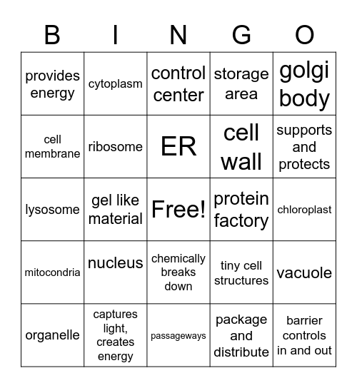 Organelles Bingo Card