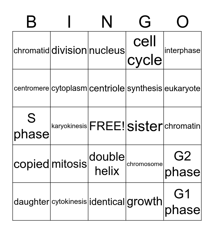 10.2 CELL DIVISION BINGO Card